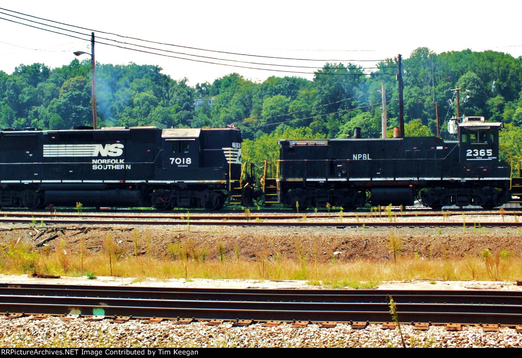 Asheville Yard